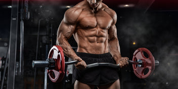 The Home of Calisthenics Equipment & Training