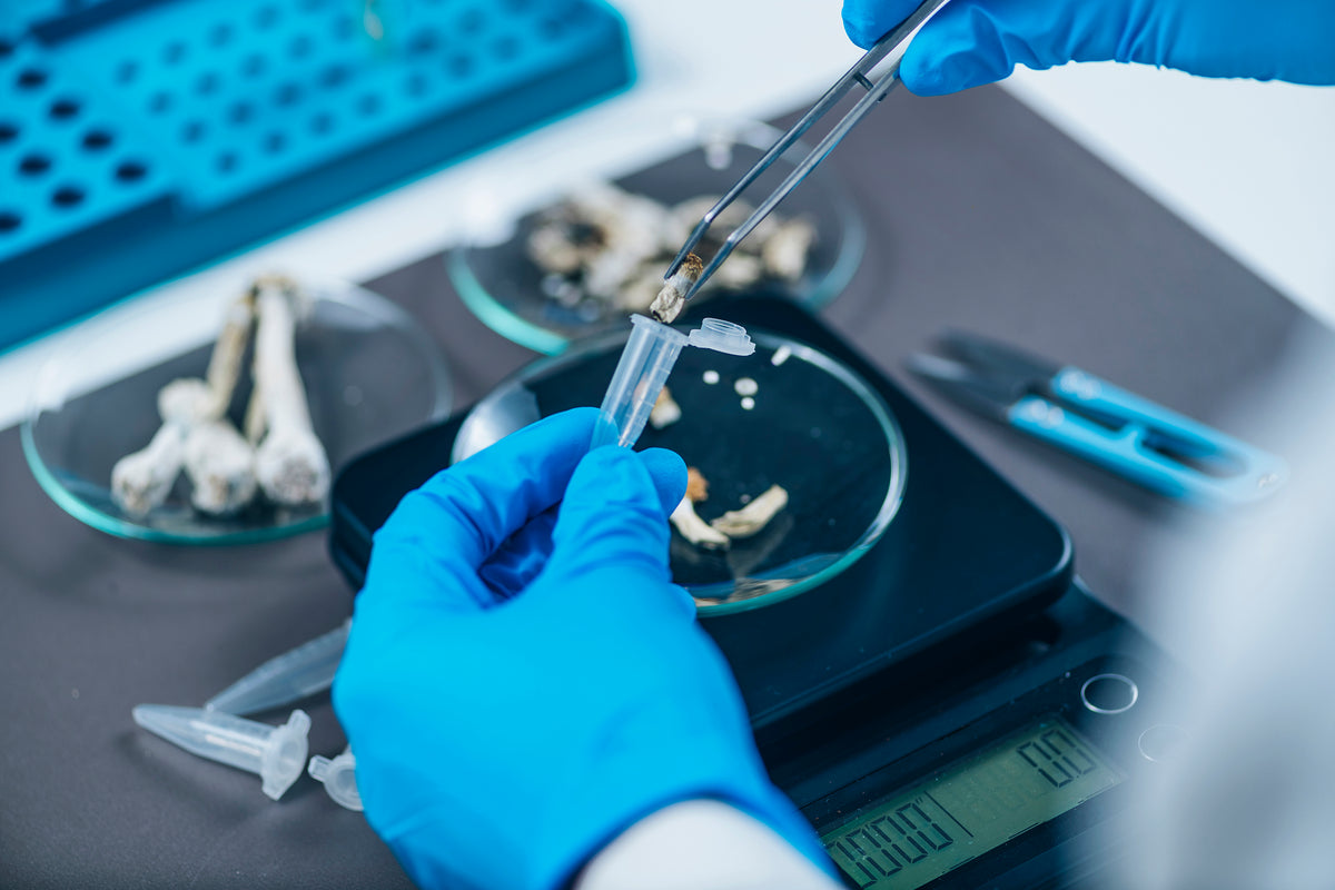 The science behind the microdosing trend - Gravity Fitness Equipment